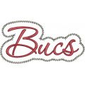 Bucs Applique Script