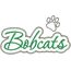 Bobcats Applique Script