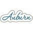 Auburn Applique Script