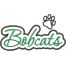 Bobcats Applique Script