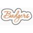 Badgers Applique Script